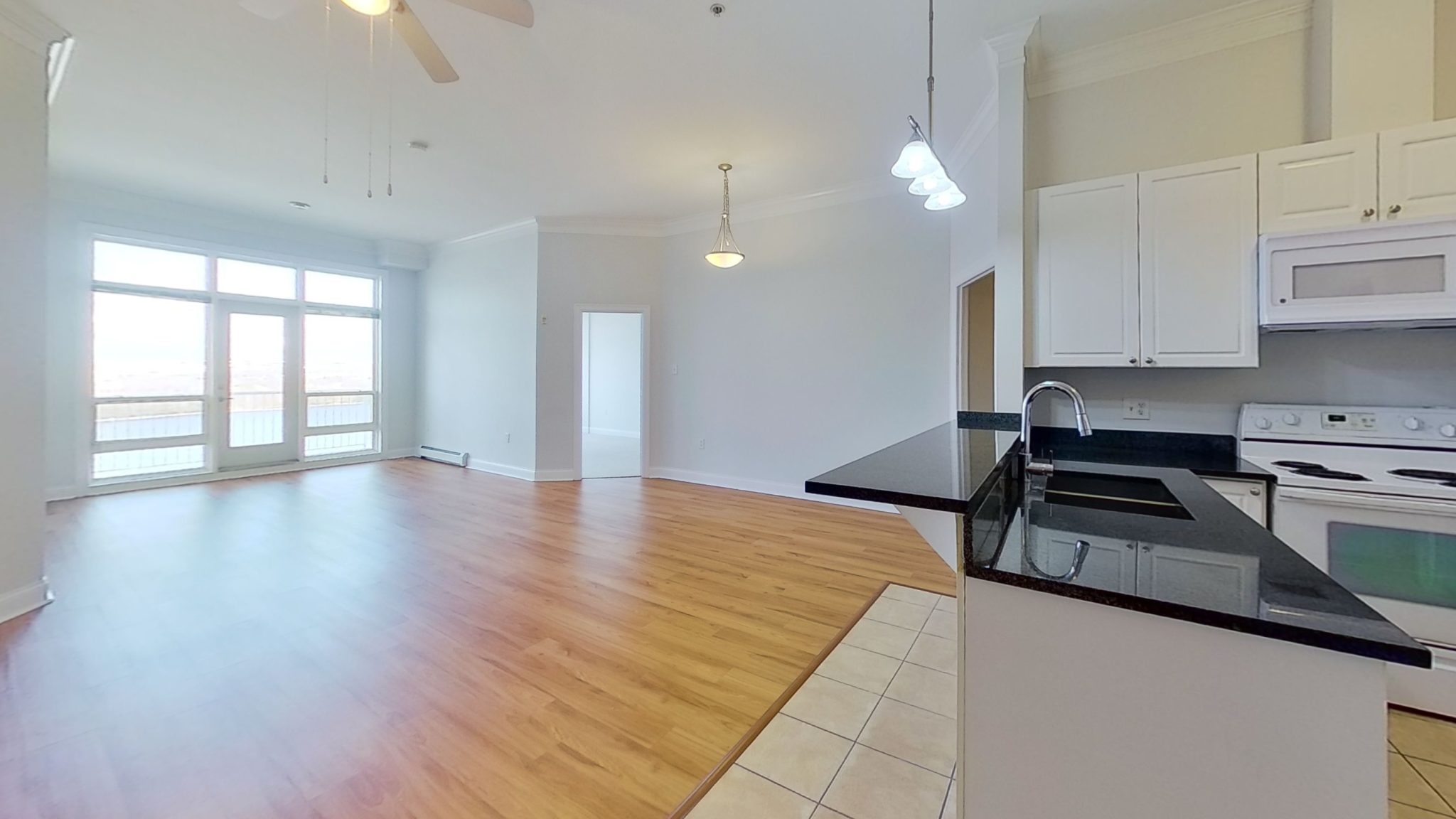 Check Availability - POLYCORP